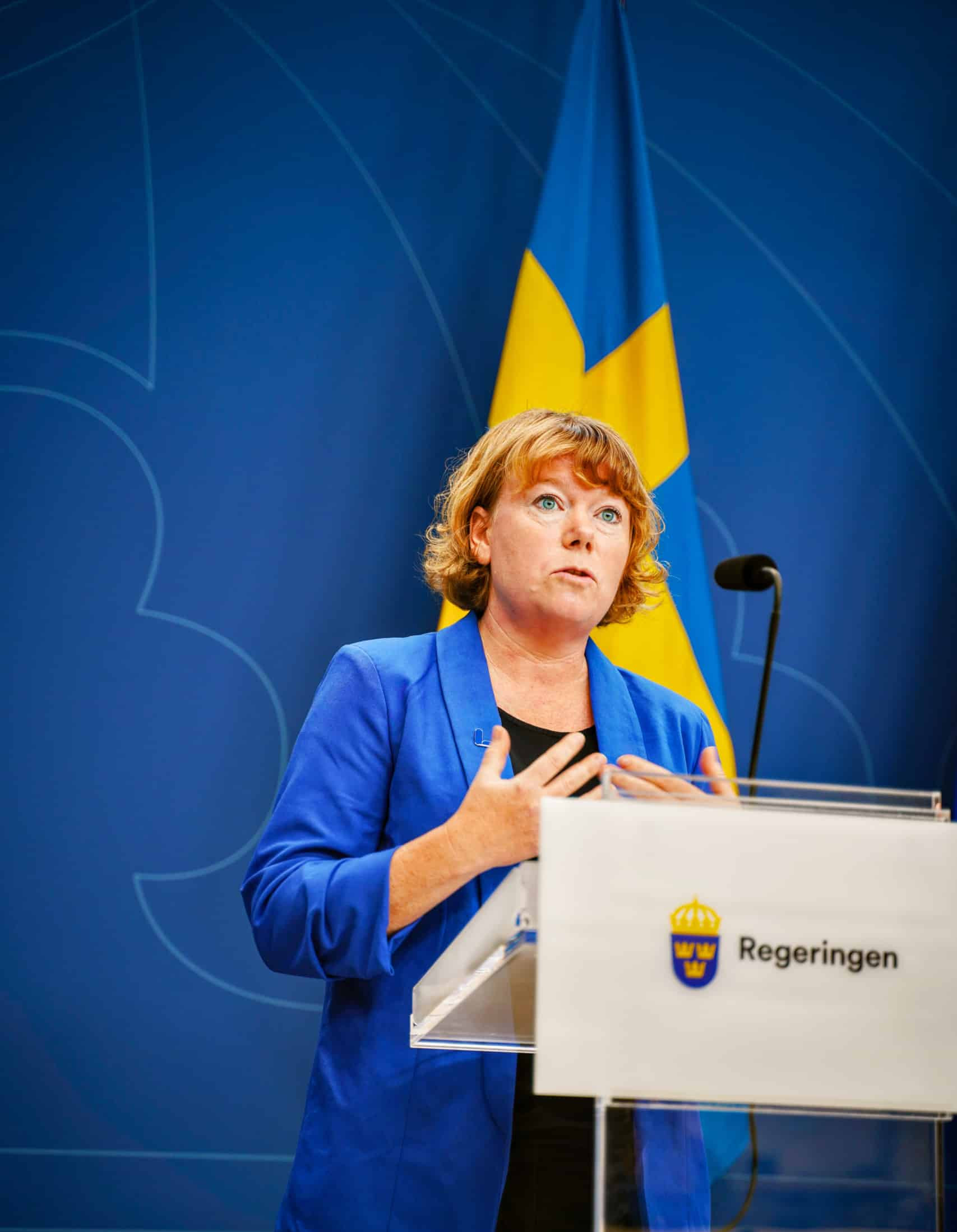 Liberalerna – Sveriges liberala parti